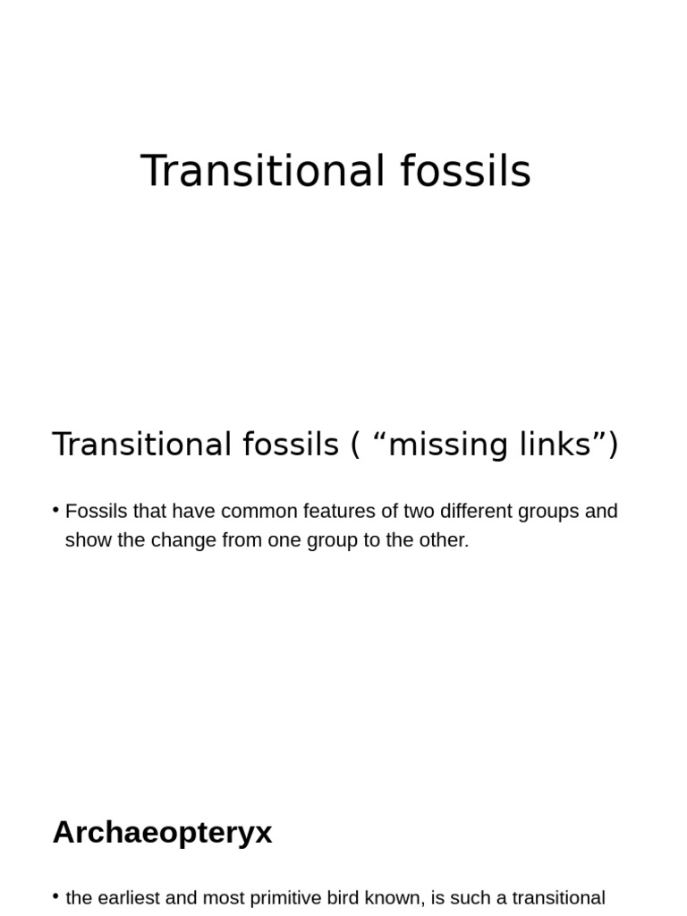 Transitional Fossils | PDF