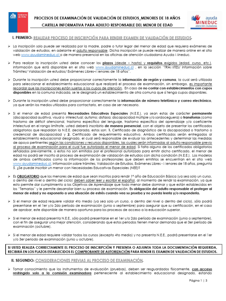 Cartilla Informativa Ve Menores 2025 | PDF