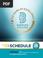 SEA Scores For Placement in Secondary Schools (2008) | PDF