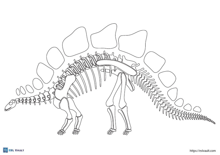 Dinosaur Skeleton Template Stegosaurus | PDF