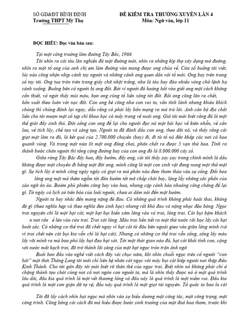 ĐỀ THƯỜNG XUYÊN 11A2 | PDF