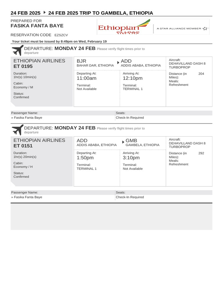 Travel Reservation February 24 For FASIKA FANTA BAYE | PDF | Transport ...
