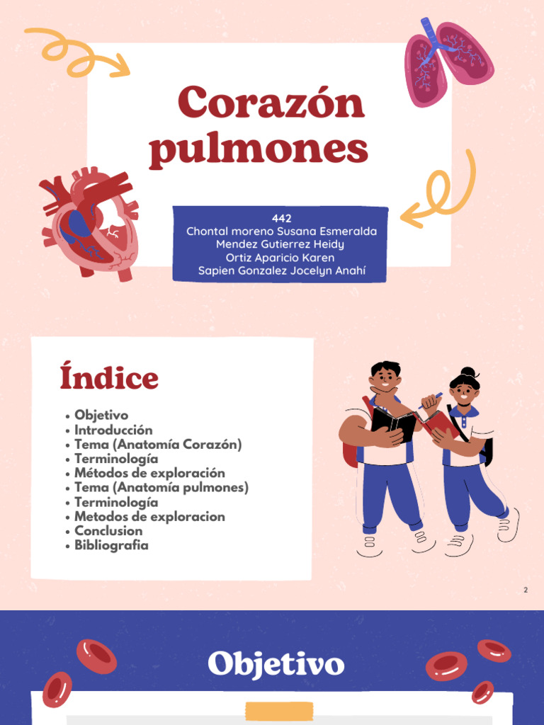 Terminología corazon, pulmon | PDF | Corazón | Pulmón