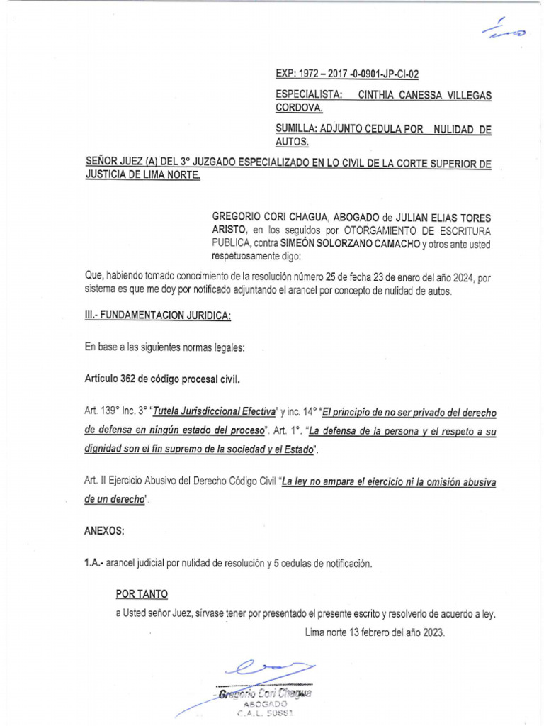 EXP 1972 - 2017 Escrito de Nulidad | PDF