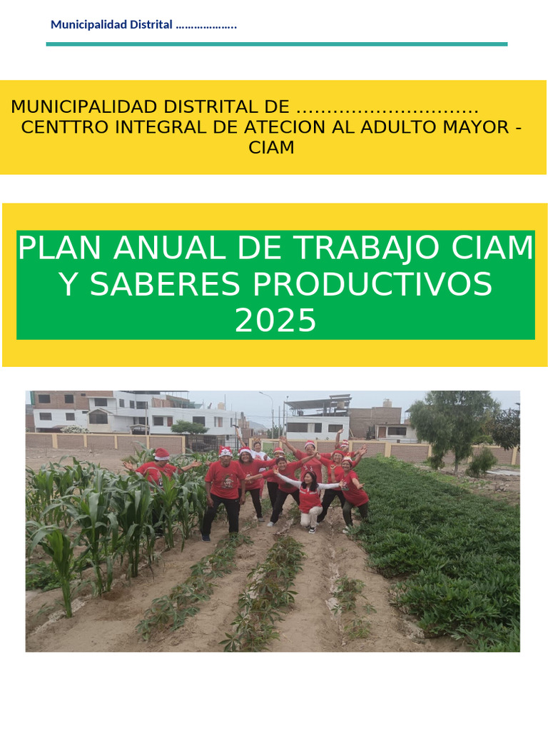 PLAN DE TRABAJO CIAM y SP 2025 Propuesta | PDF | Gobierno local | Vejez