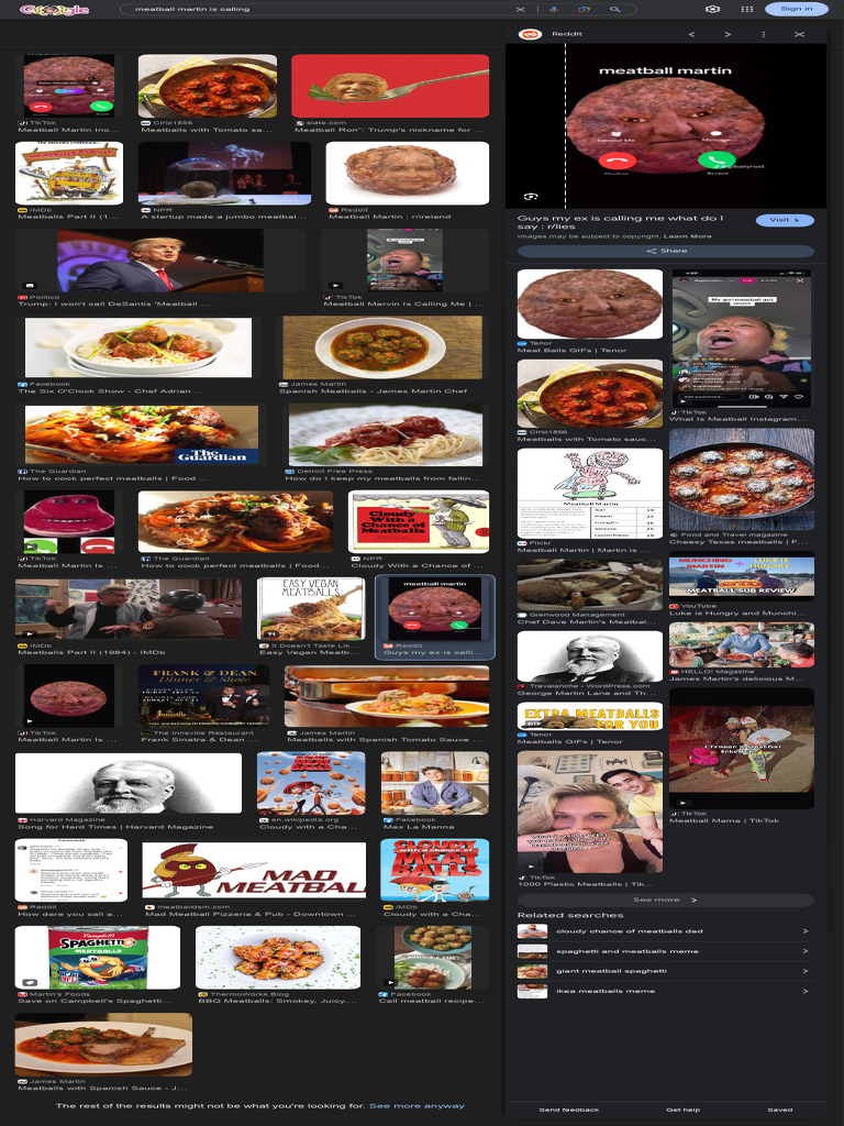 Meatball Martin Is Calling - Google Search | PDF | Foods