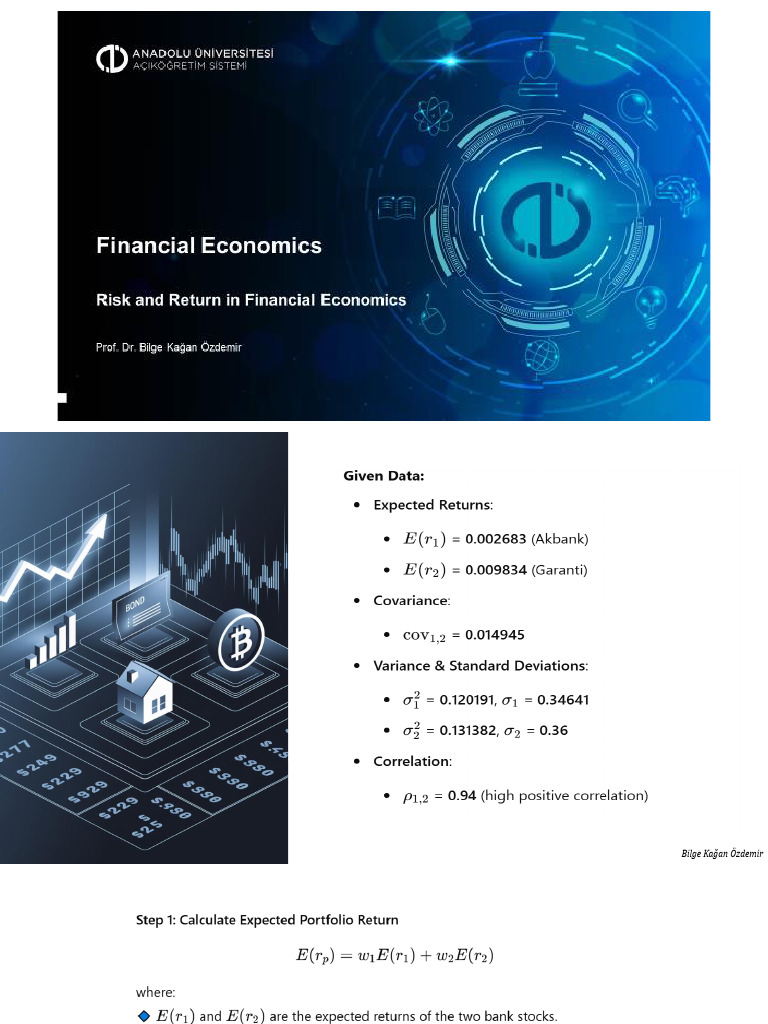 3 Portfolio Problem Solving | PDF