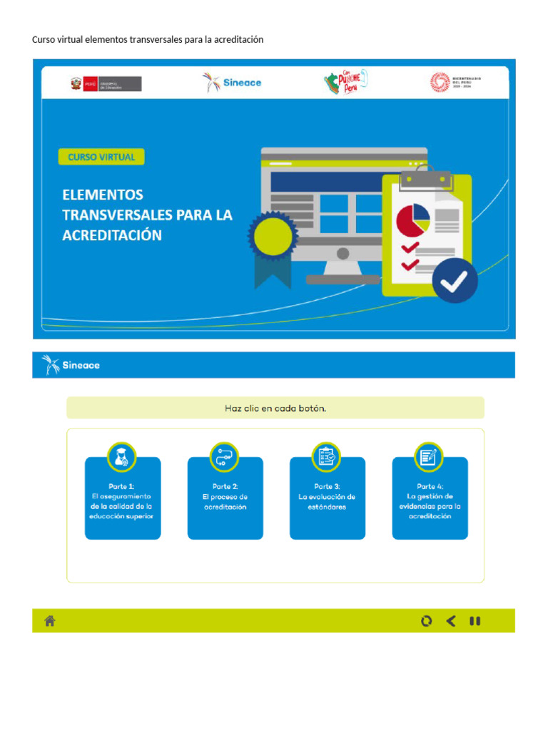 Curso SINEACE Elementos Transversales para La Acreditacion2024 | PDF