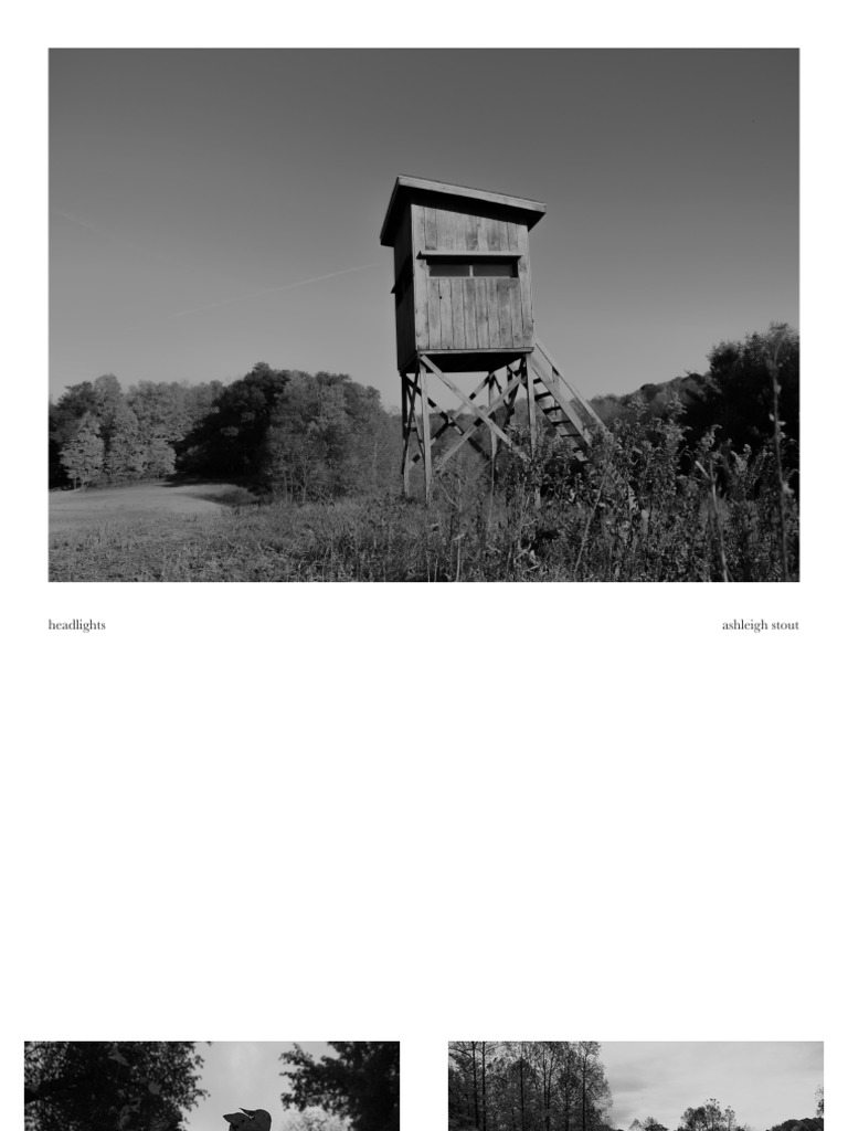 Headlights | PDF
