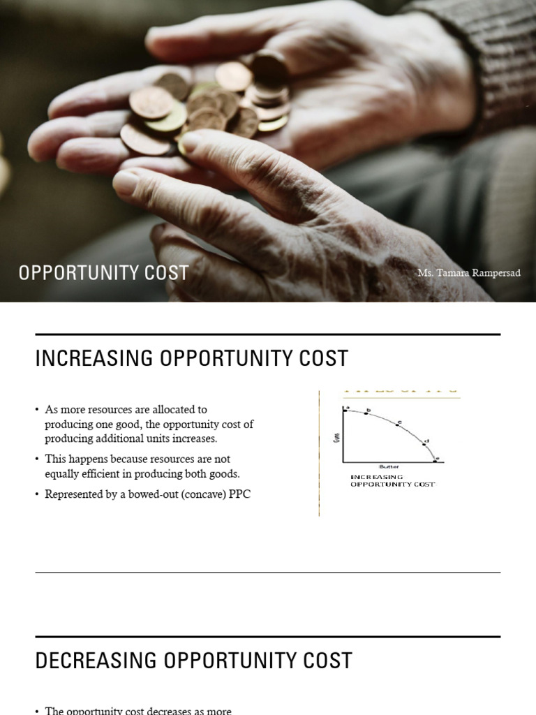 Opportunity Cost | PDF