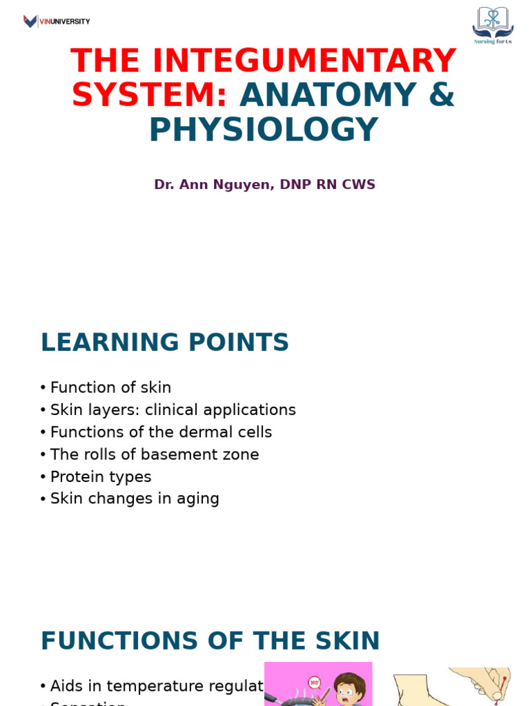 1. Anatomy and Physiology of the Integumentary System | PDF | Skin ...