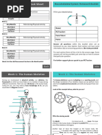 AQA GCSE PE - Workbook 1 - The Skeleton | PDF | Anatomy ...