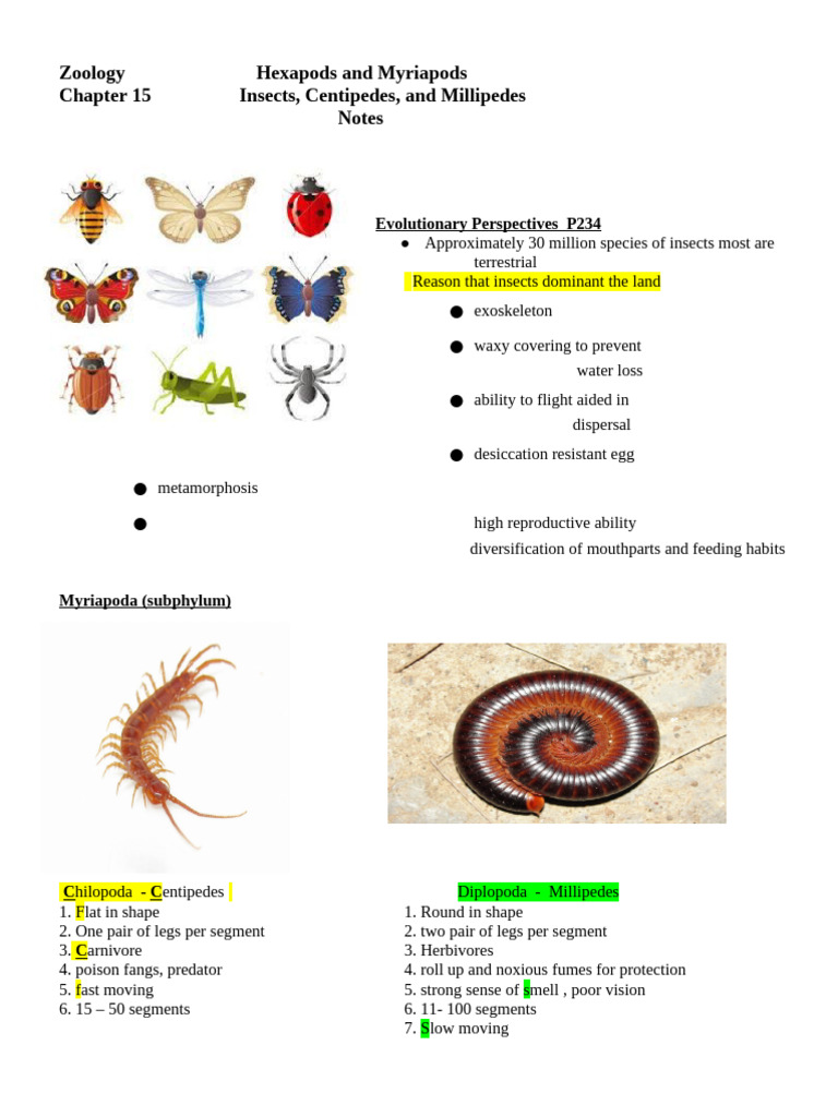 Notes CH 15 Hexapods | PDF | Insects | Pupa