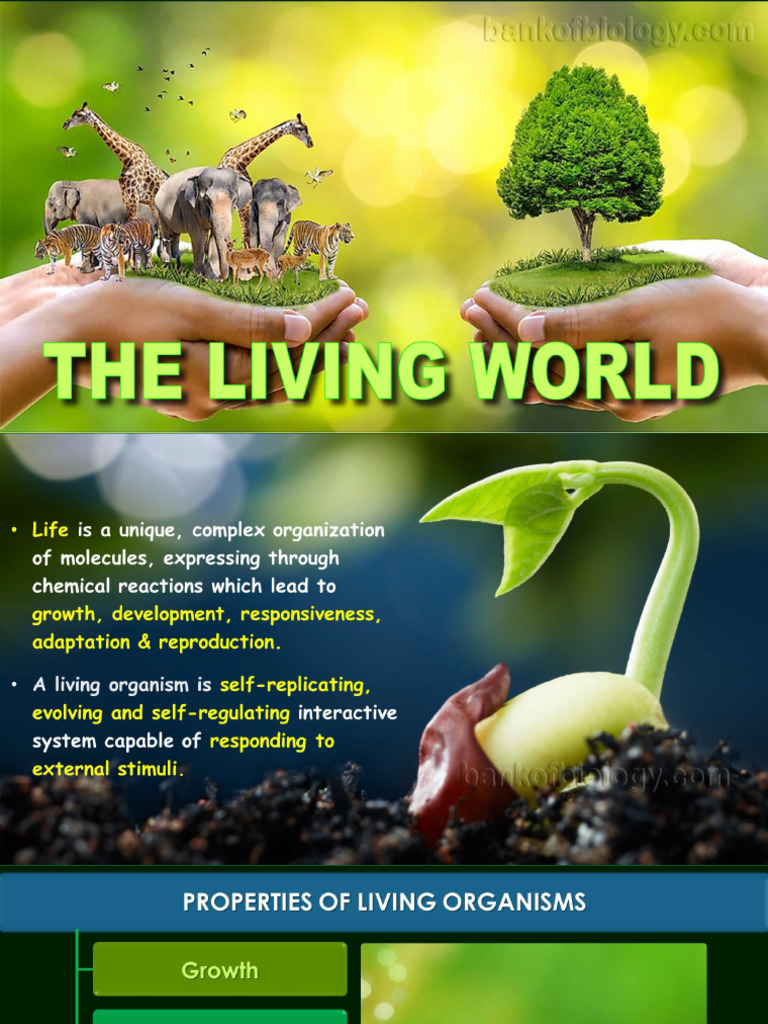 1 The Living World - Picture Slides - Demo | PDF