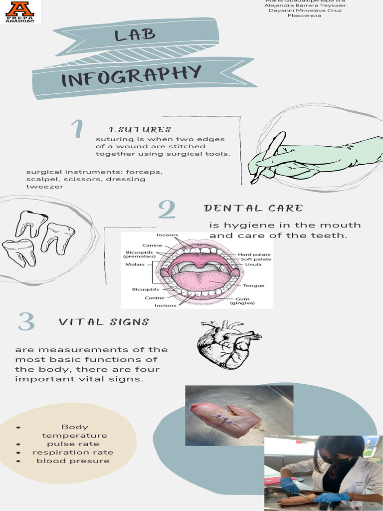 Info LAB | PDF