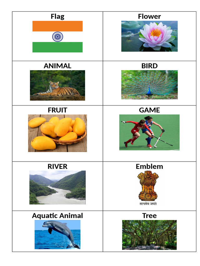National Symbols | PDF