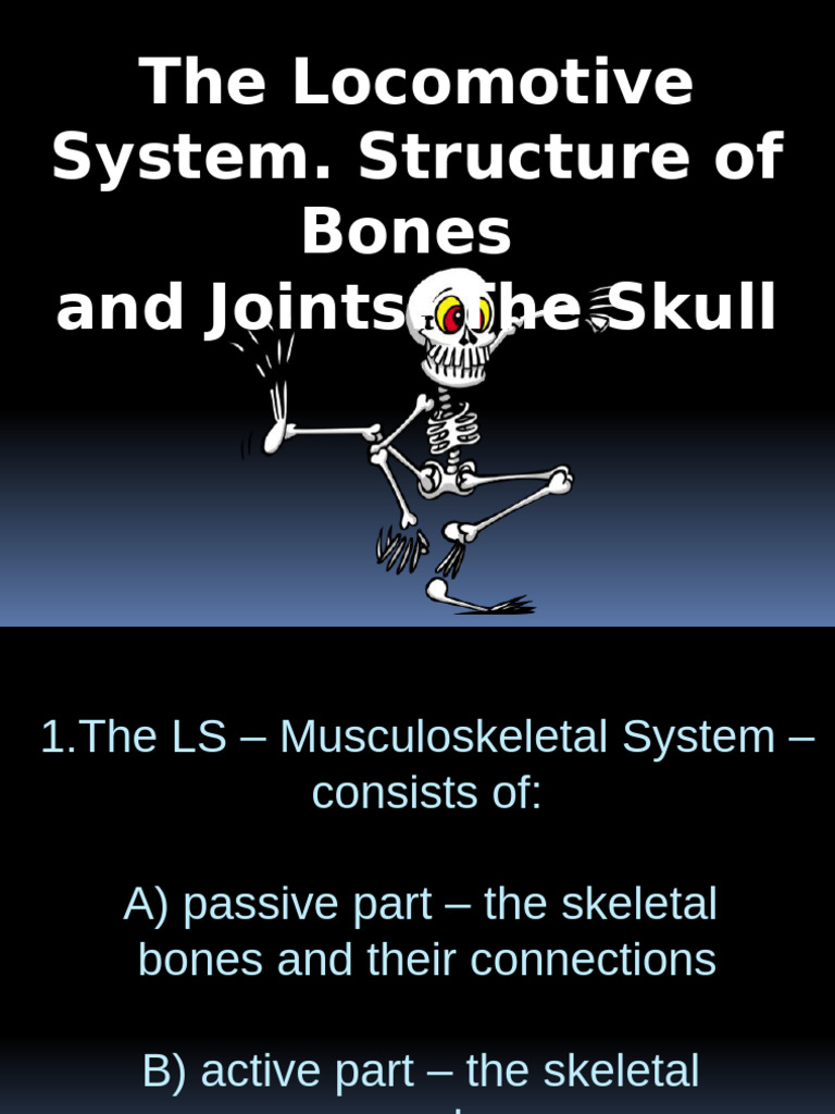 The Locomotive System. Structure of Bones. The Skull | PDF | Skull | Bone