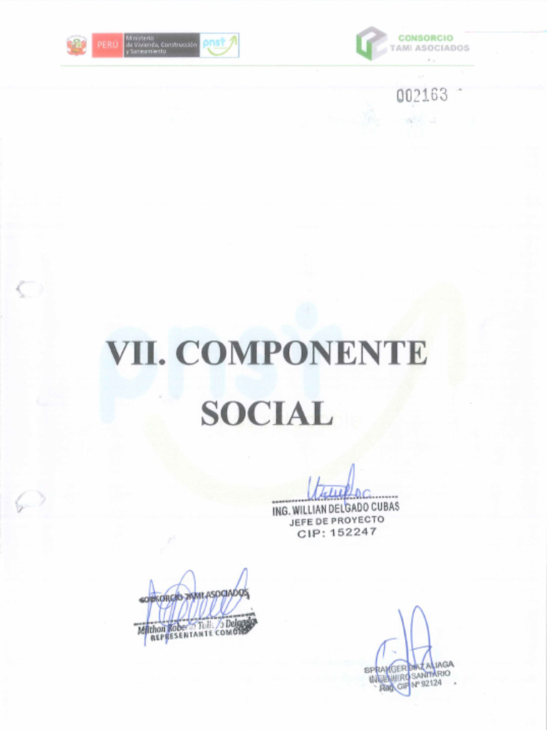 Tomo Vii - Componente Social v2 | PDF