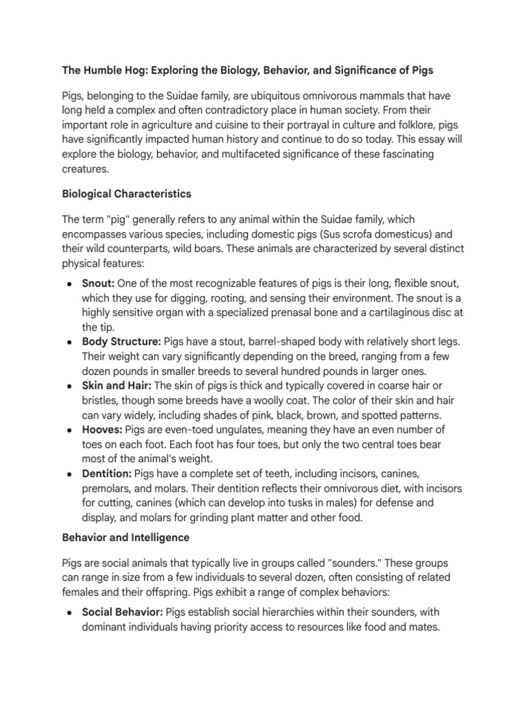 A 2000-Word Essay On Pigs | PDF | Pig | Wild Boar