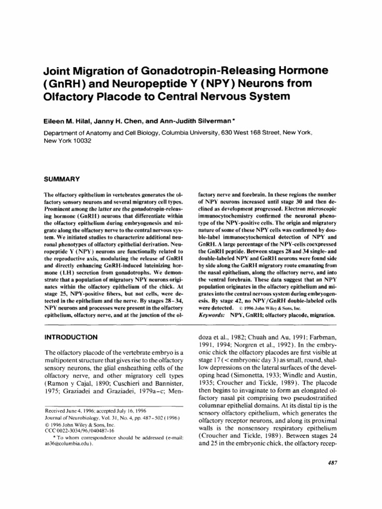 %28sici%291097-4695%28199612%2931%3A4%3C487%3A%3Aaid-neu8%3E3.0.co%3B2 ...