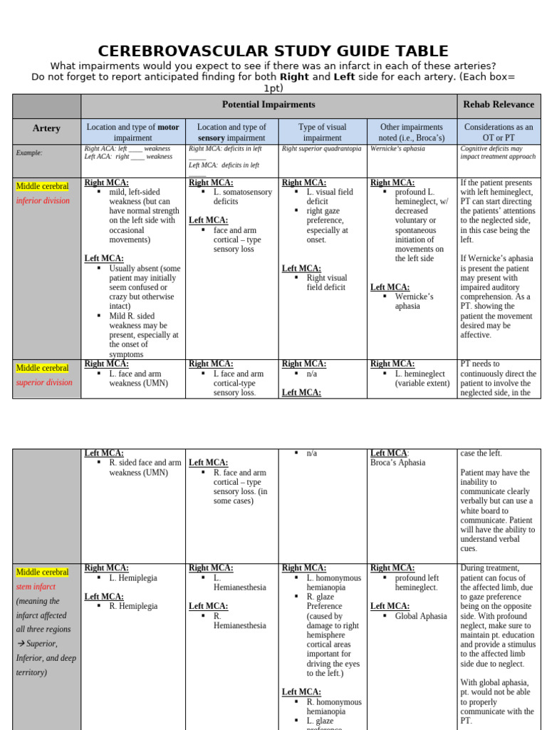Stroke Syndromes Assignment | PDF | Aphasia | Cerebral Cortex