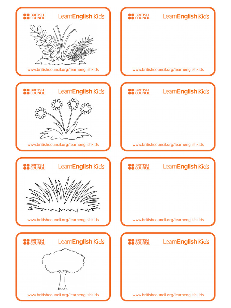 Flashcards Plants PAITING | PDF