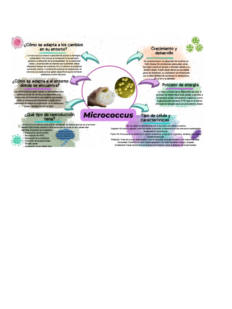 Mapa Biologia | PDF