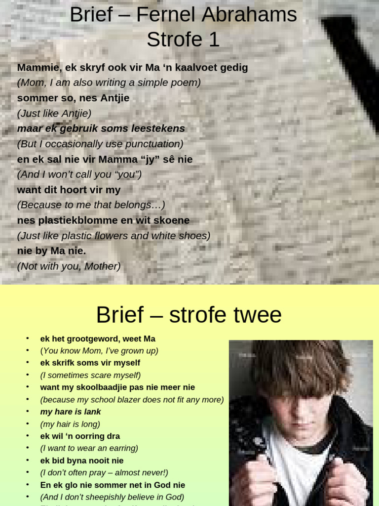 Brief - Fernel Abrahams | PDF