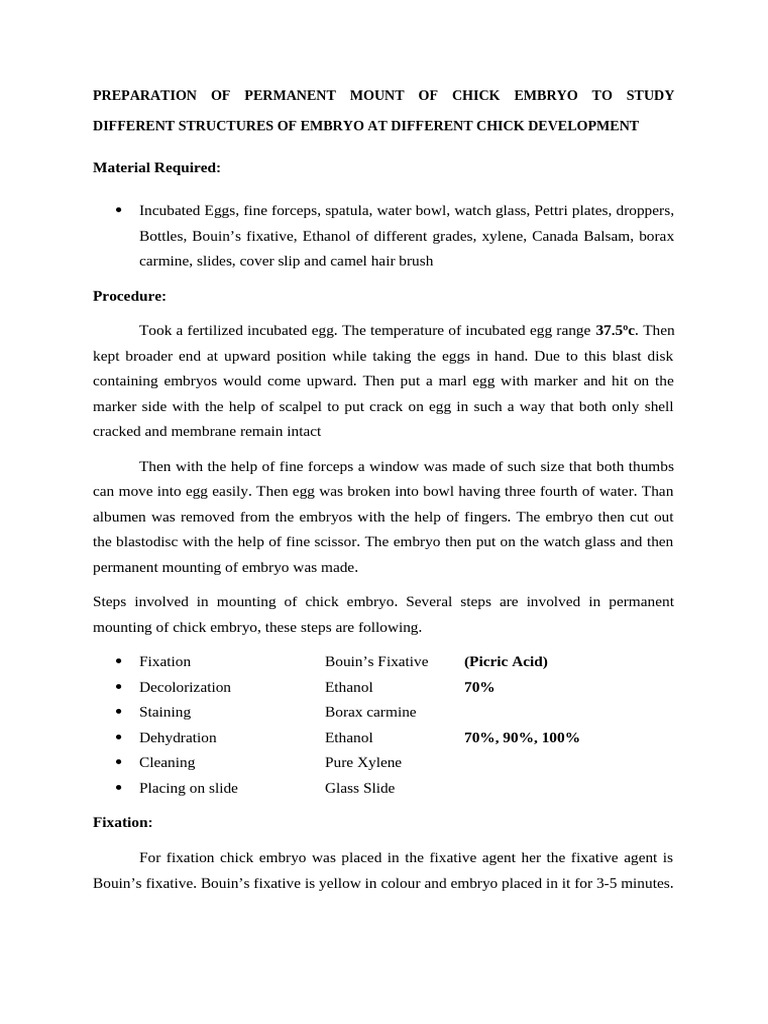 Procedure of Chick Embryo | PDF | Fixation (Histology) | Staining