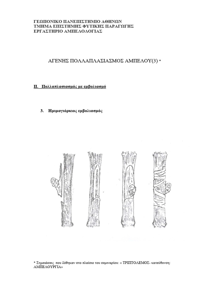 2018Α - ΤΡΙΠΤΟΛΕΜΟΣ - ΑΓΕΝΗΣ ΠΟΛΜΟΣ ΑΜΠΕΛΟΥ | PDF