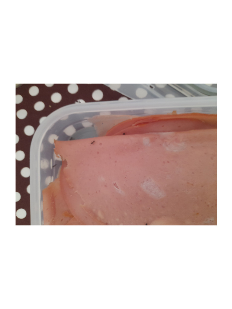 20250413_111737 | PDF