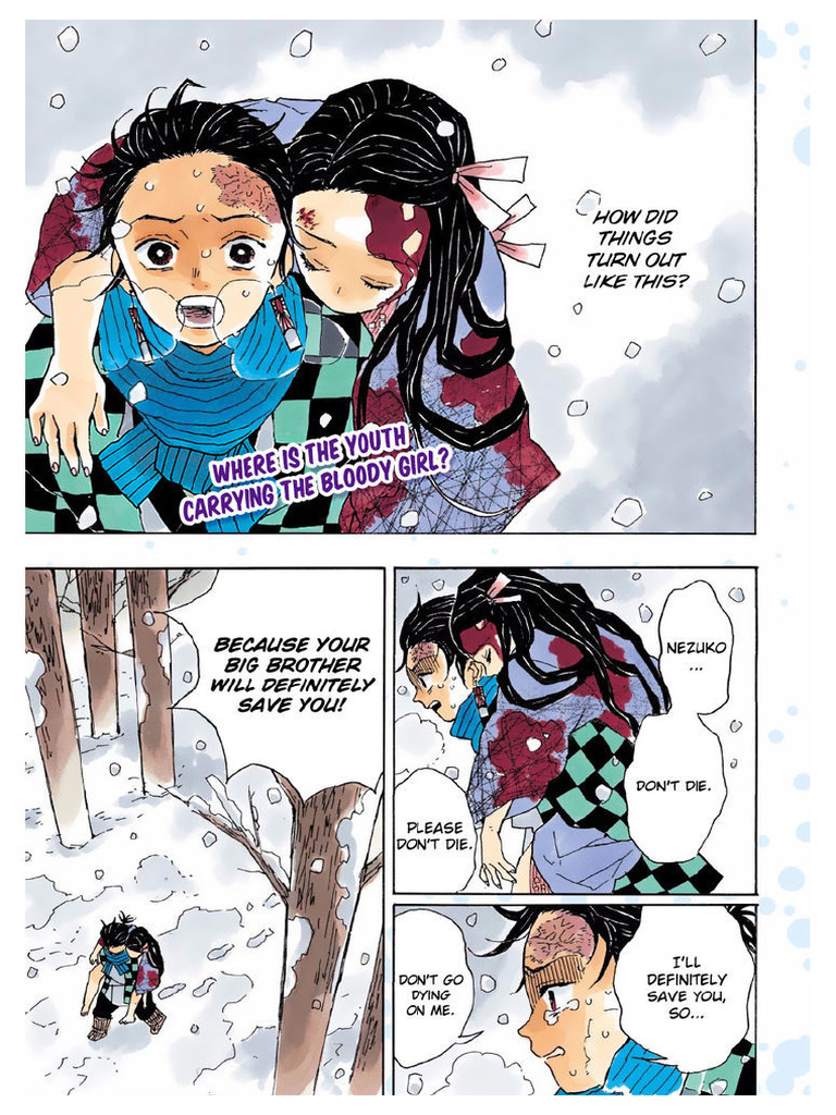 Demon Slayer Vol 1 | PDF