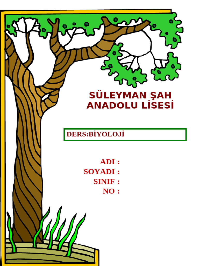 Genel Odev Kapagi 2 | PDF