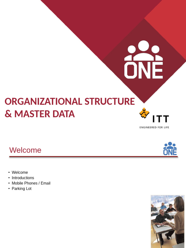 STC - Organizational Structure and Master Data - TMD | PDF | Sales ...