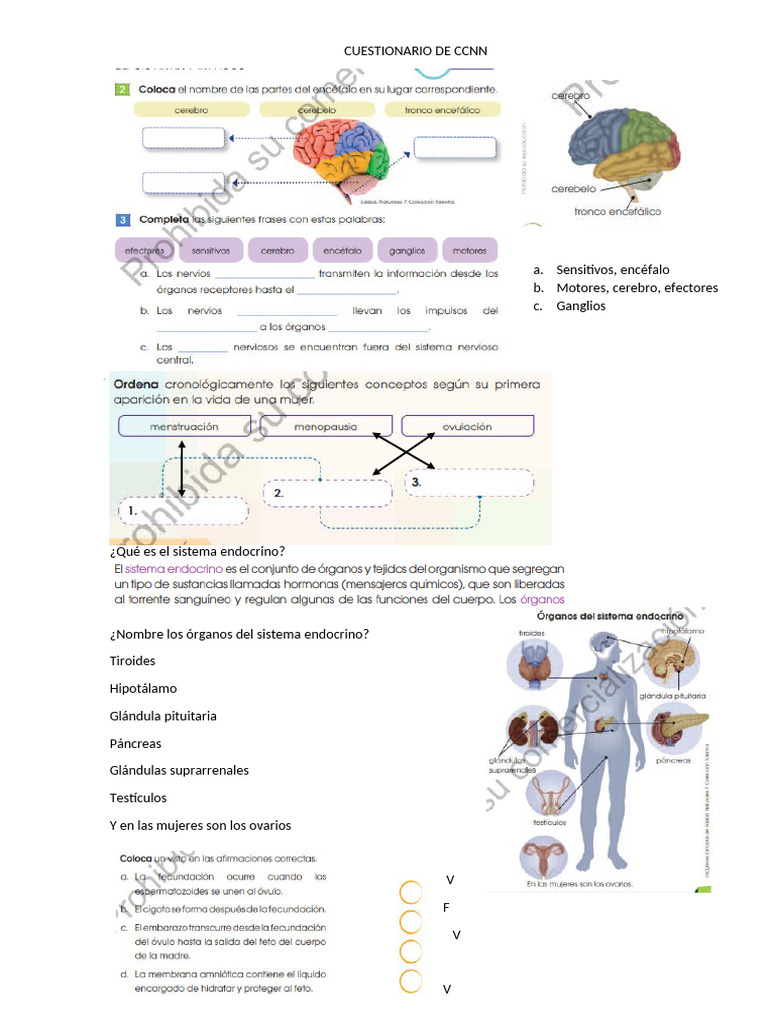 CUESTIONARIO DE CCNN | PDF
