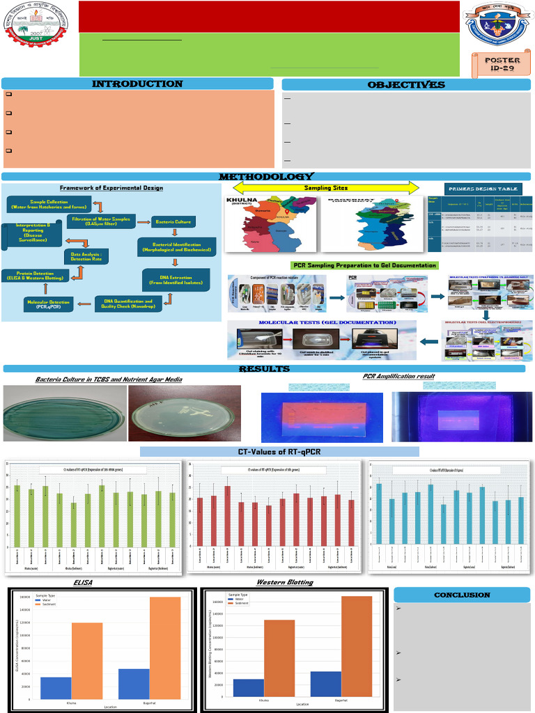 Cvasu - Mostafizur Conference | PDF | Real Time Polymerase Chain ...