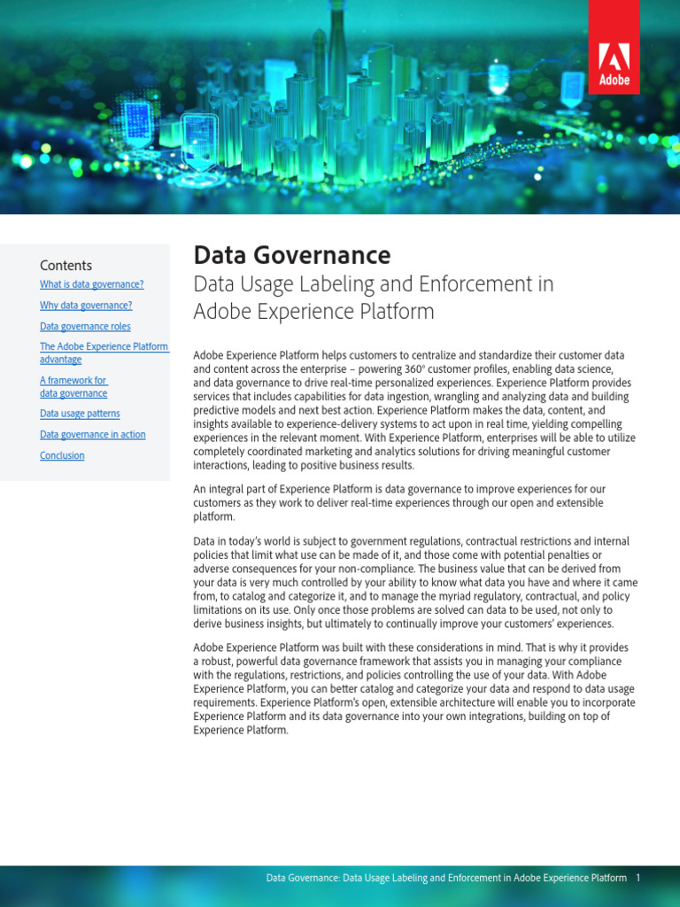 Data Governance Whitepaper | PDF | Governance | Data