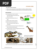 Animal Classification Charts | PDF | Invertebrate | Egg