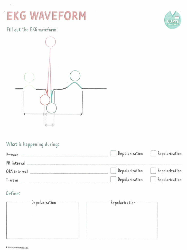EKG Full Packet | PDF