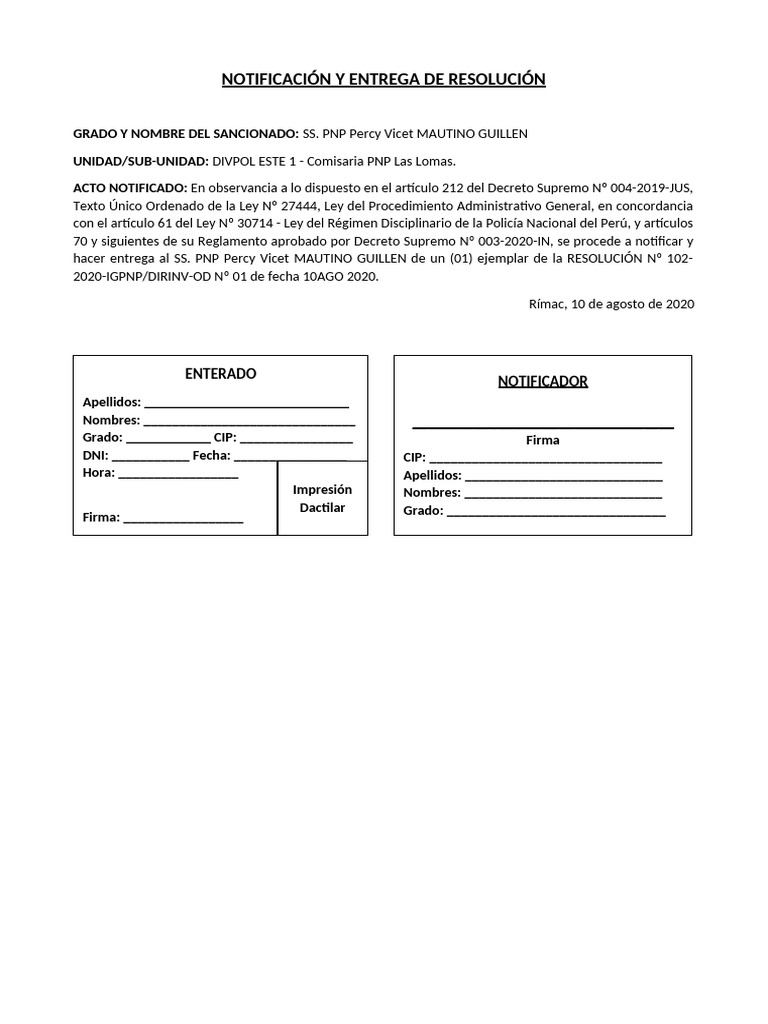 Formato D Entrega | PDF