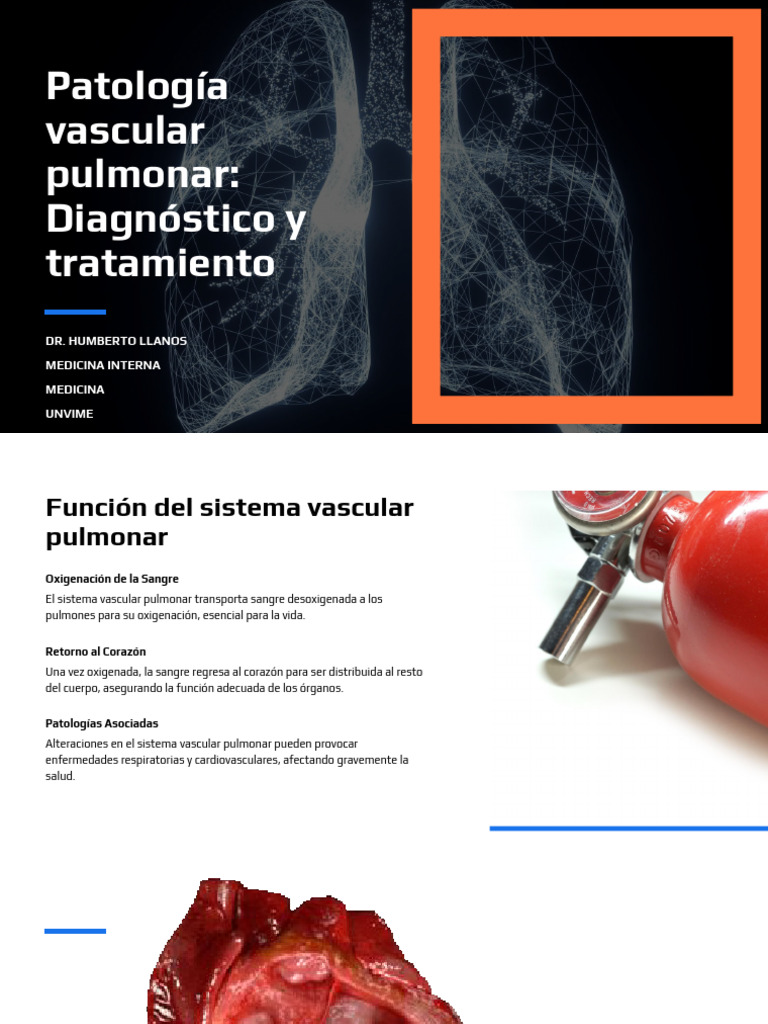 Diagnóstico y Tratamiento de Patologías Pulmonares | PDF | Sistema ...