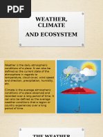 S1 Geography Notes | PDF | Fog | Precipitation
