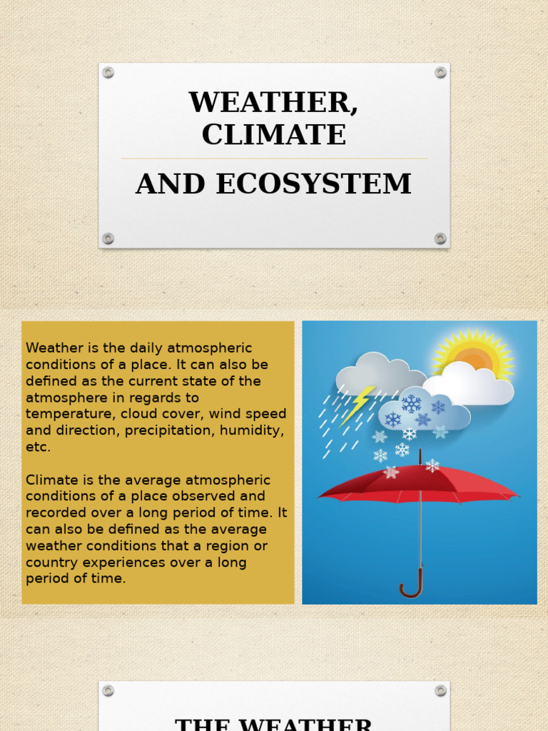Weather Stations: Instruments & Setup Guide | PDF | Weather | Humidity