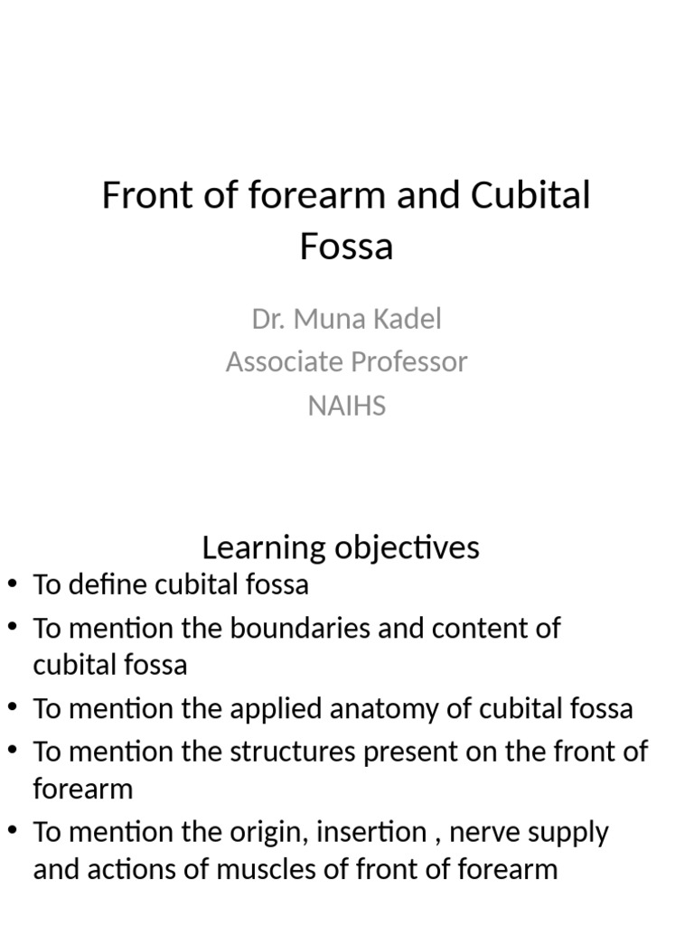 Front of Forearm and Cubital Fossa | PDF | Thumb | Hand