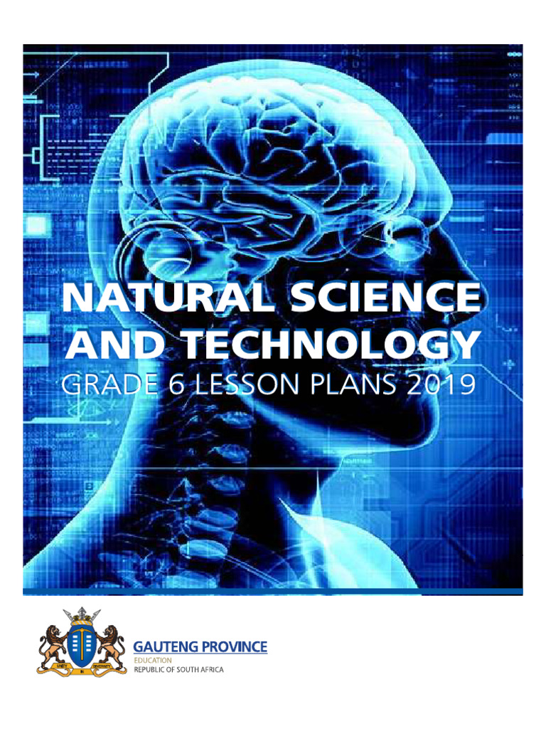 Grade 6 Term 1 | PDF