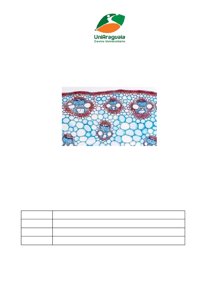 Caderno Pr-Tico Agronomia Anatomia Vegetal 2024 | PDF | Histologia