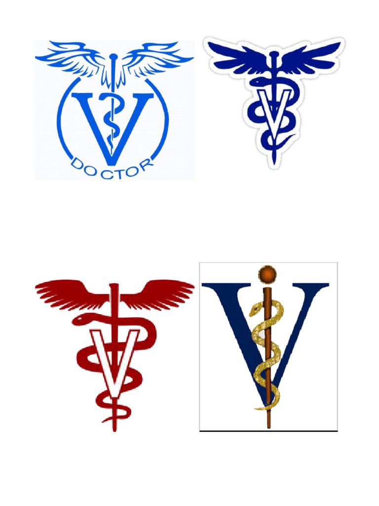 Logo DR - Vet | PDF
