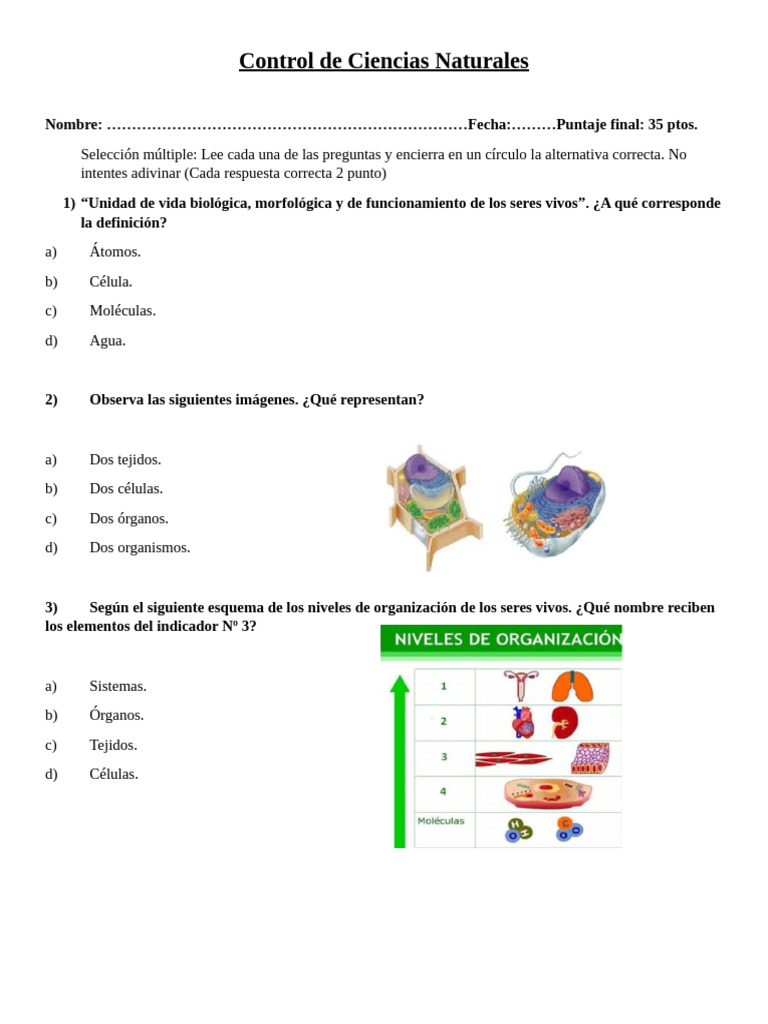 Ciencias Quinto Evaluacion | PDF | Organismos | Tejido (biología)