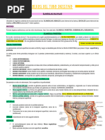 Arco de Riolano | PDF | Tinción | Anatomía