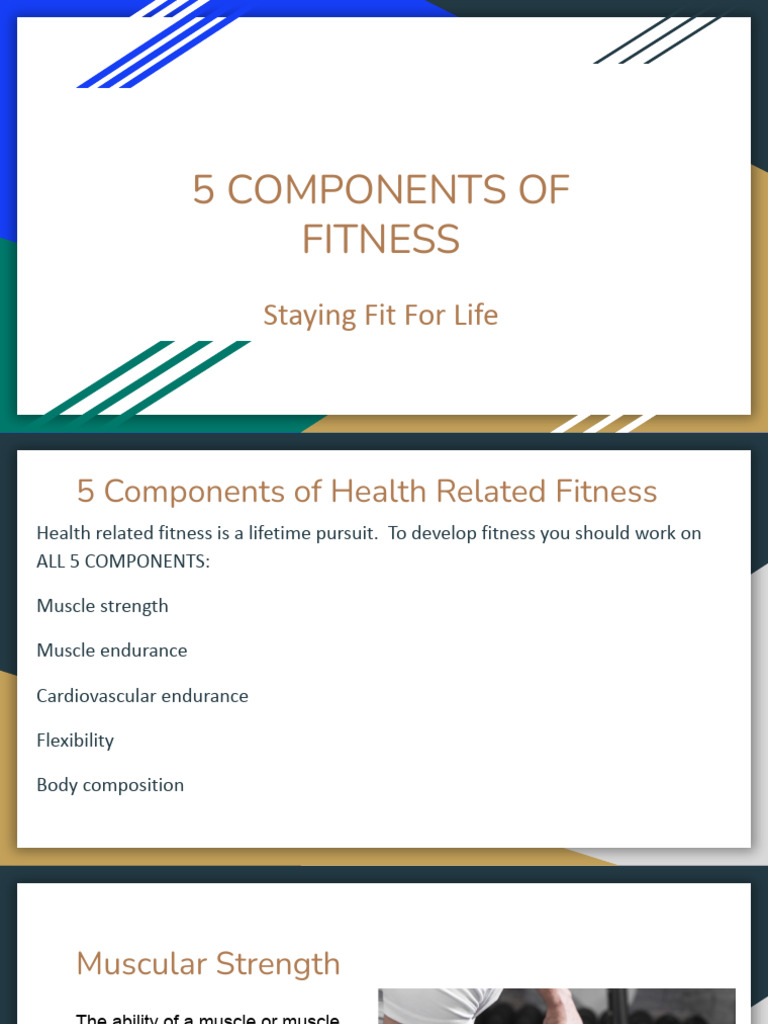 5 Components of Fitness | PDF | Skeletal Muscle | Heart Rate